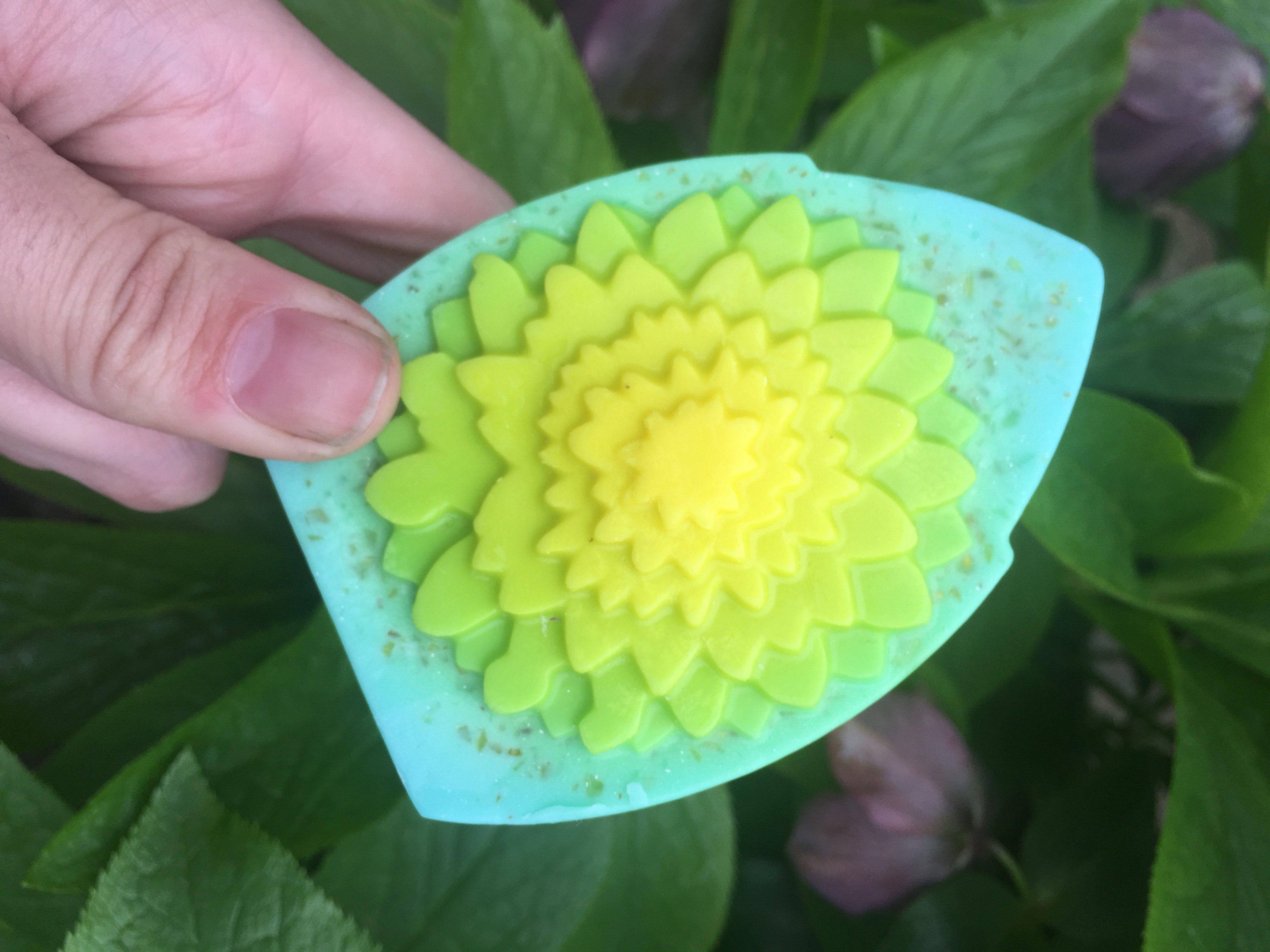 Aster La Vista Soap – Lush Review